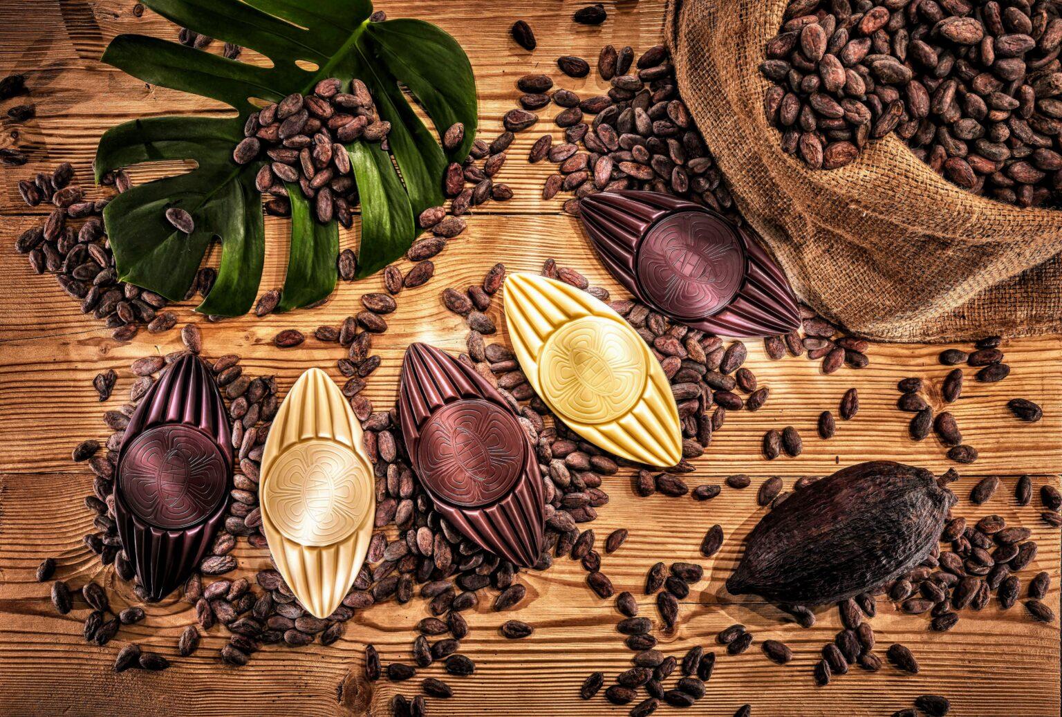 Cahua: Schokolade mit gutem Gewissen essen ist das Motto